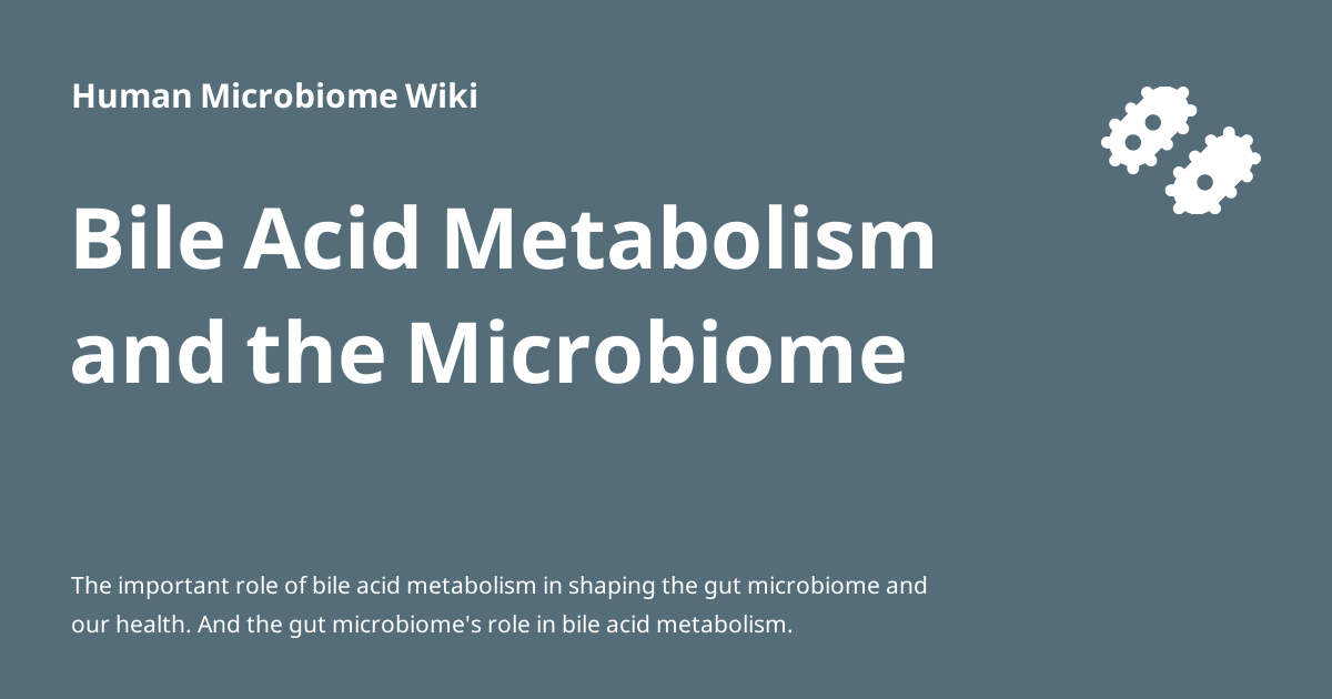 Bile Acid Metabolism and the Microbiome - Human Microbiome Wiki