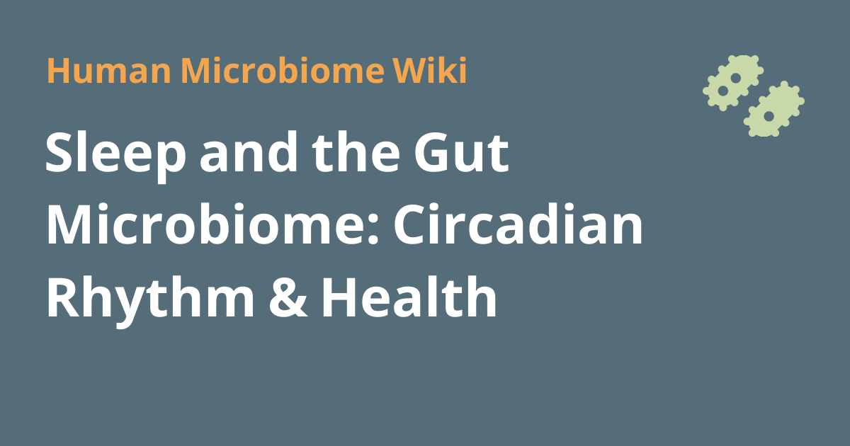 Sleep and the Gut Microbiome: Circadian Rhythm & Health - Human ...