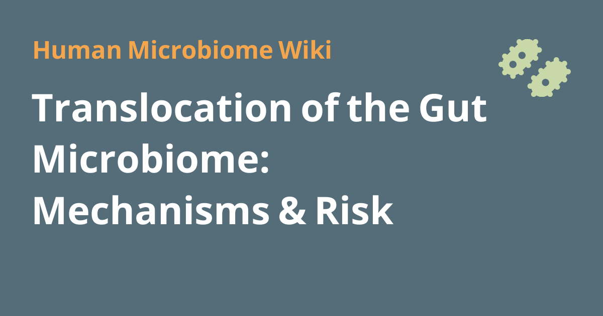 Translocation of the Gut Microbiome: Mechanisms & Risk - Human ...