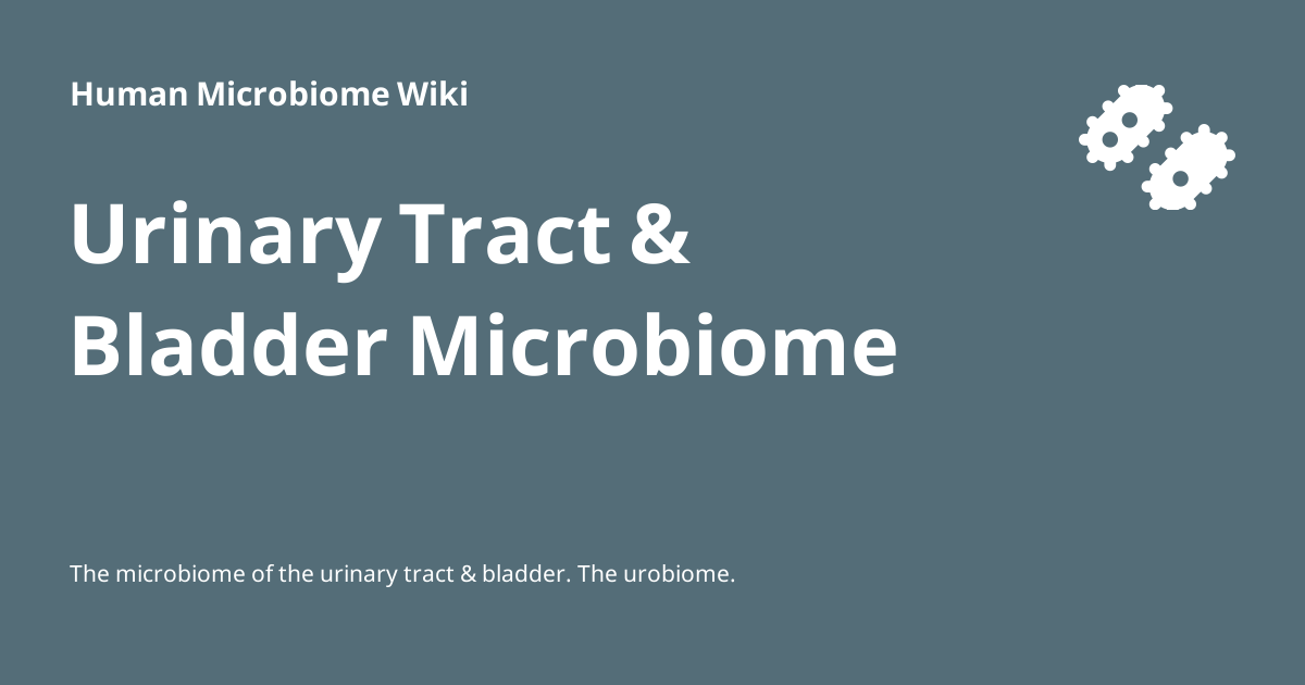 Urinary Tract & Bladder Microbiome - Human Microbiome Wiki
